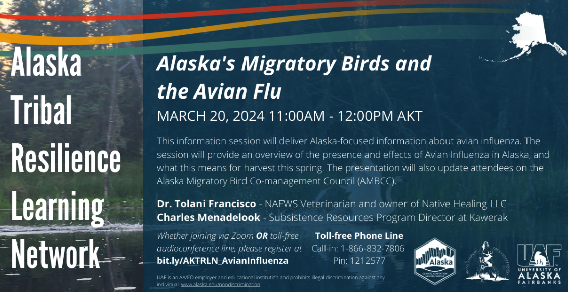 Alaska’s Migratory Birds and the Avian Flu: A Presentation – City of ...